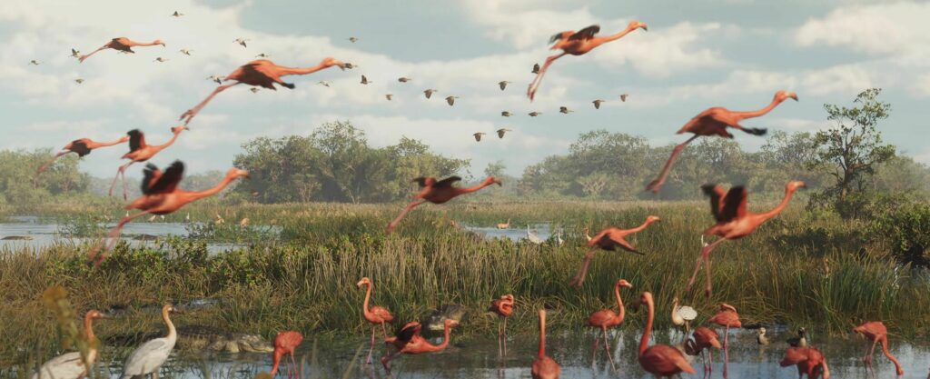 GTA 6 Animals | Wildlife Guide: Every Confirmed Animal, Bird, and Fish