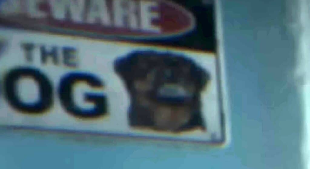 Rottweiler - GTA 6 Animal | GTA 6 Wiki